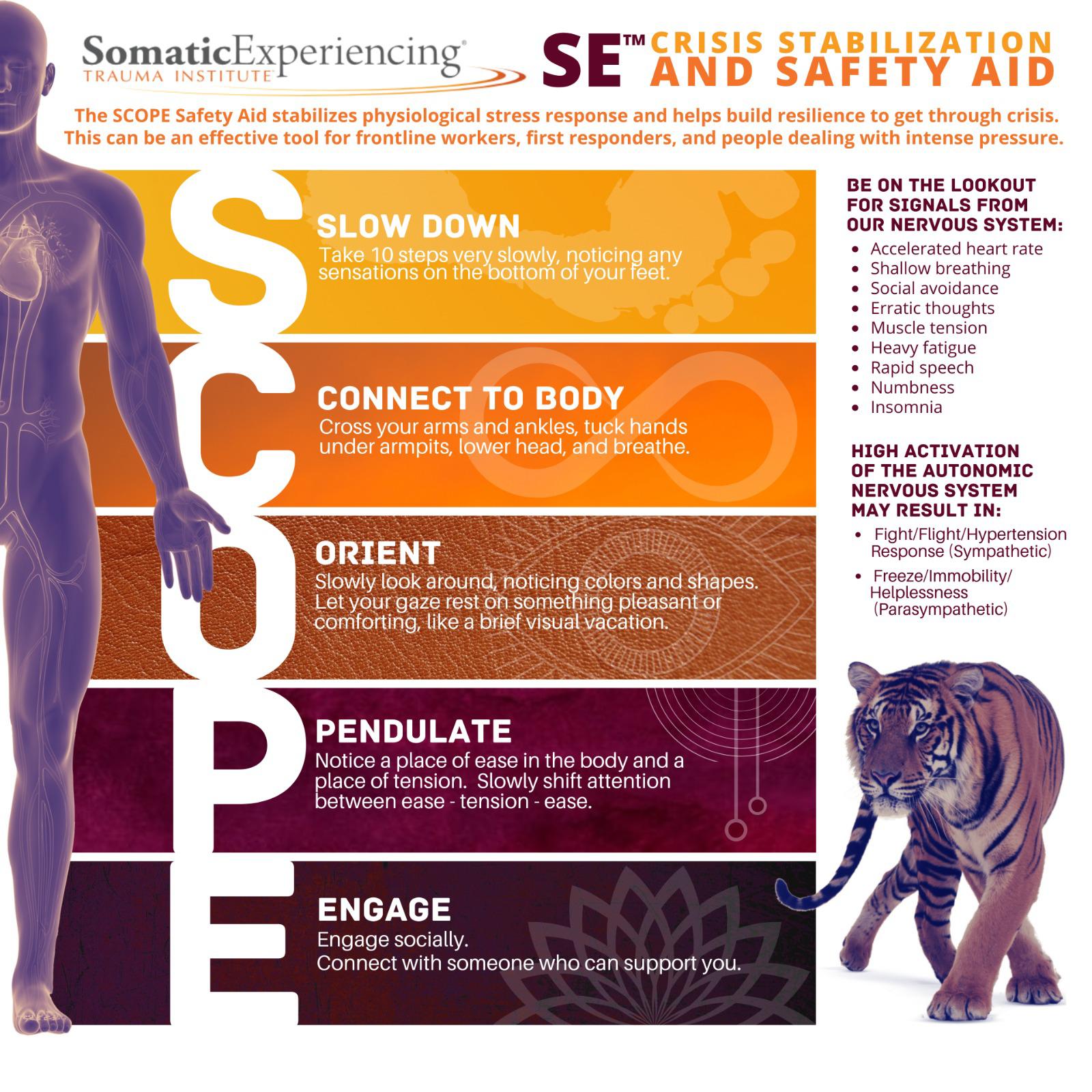 SCOPE tips for self-regulation - Soulmatics